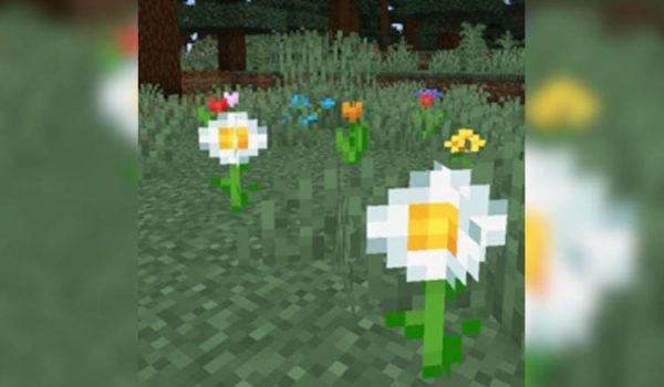 Mods Minecraft | MineCrafteo